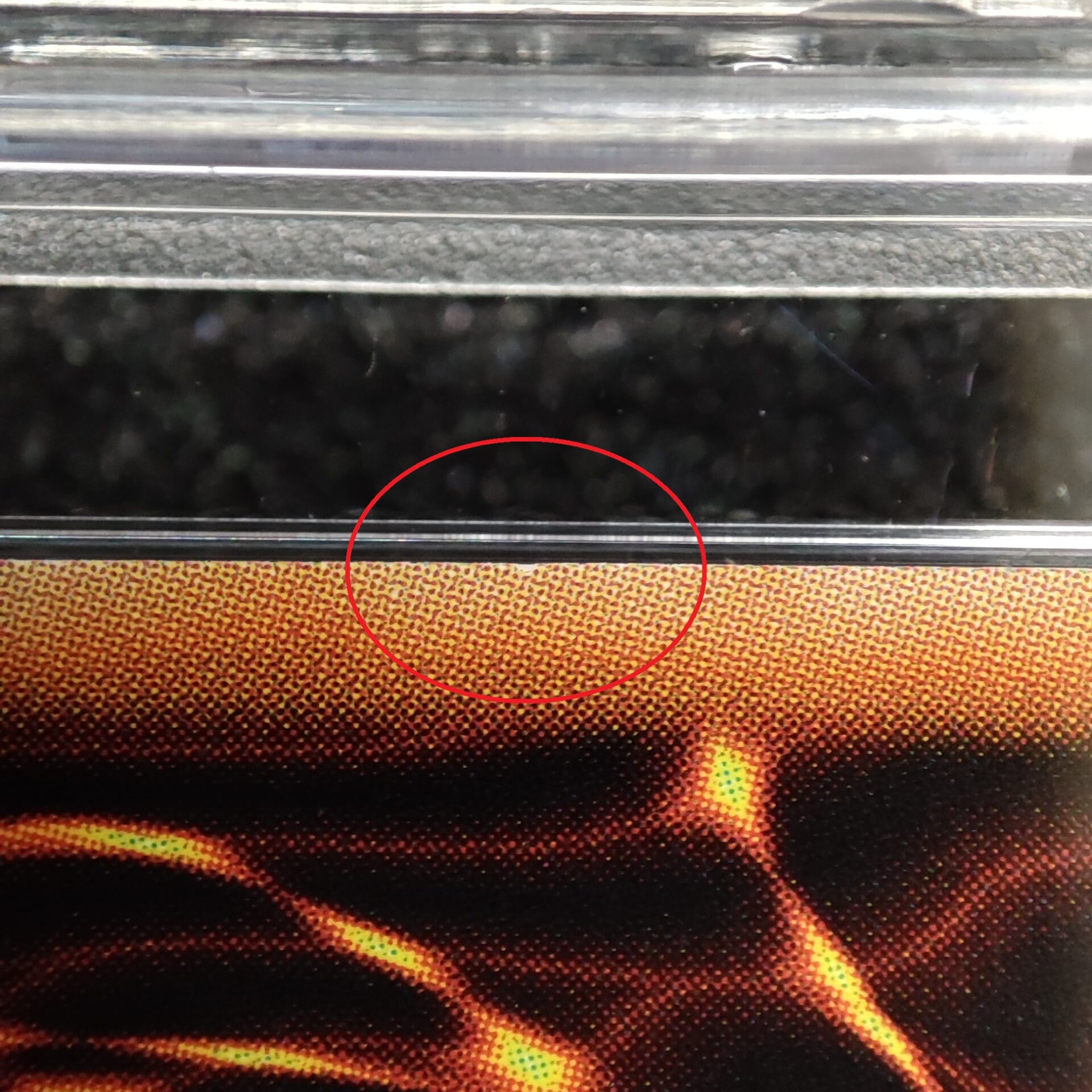 ARS鑑定グレード9の状態とは？ ＃2 青眼の究極竜 BE01-JP207 シークレットレアの状態とポイント - ARS鑑定情報サイト ヒロブロ！